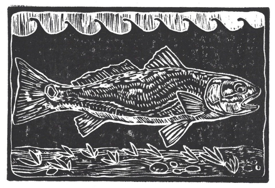 Redfish Original Fly Fishing Linocut Artwork by Jonathan Marquardt - Etsy