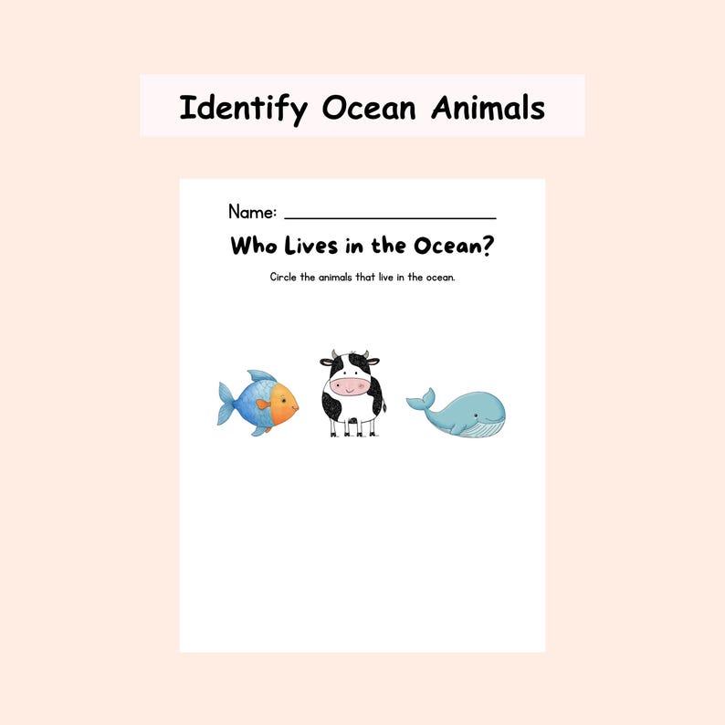 Ocean Animal Habitats Worksheets, Preschool and Kindergarten Ocean ...