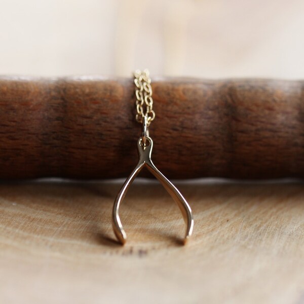 Wishbone Necklace - Etsy Canada