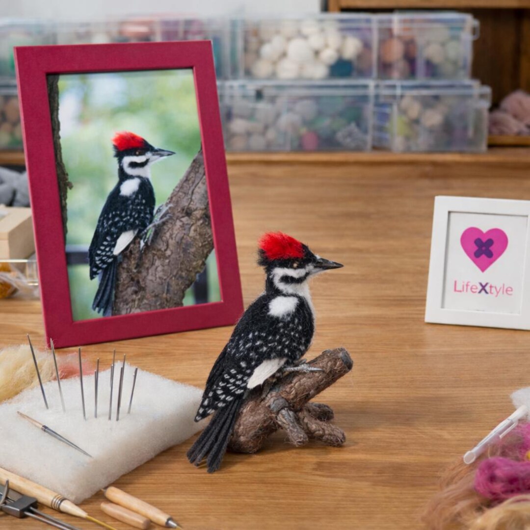 Custom Pet Bird Plush From Photo, Handmade Bird Replica, Pet ...