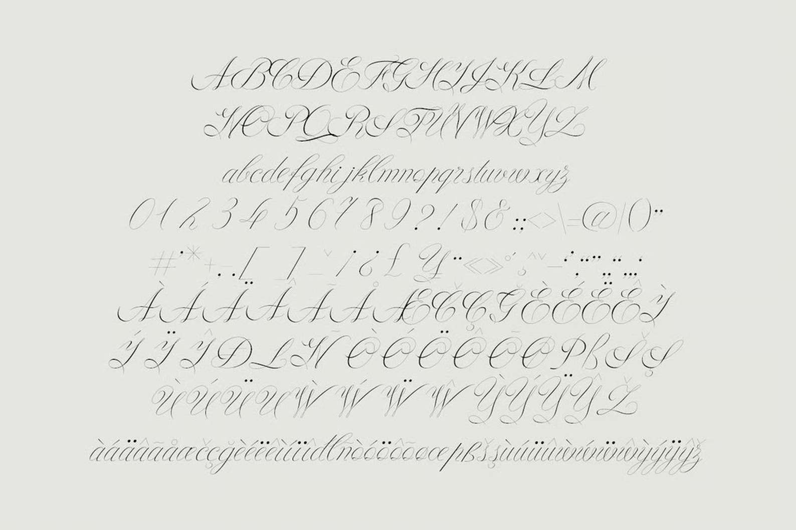 Aesthetic Routine Elegant Script + Serif Font – Modern Calligraphy ...