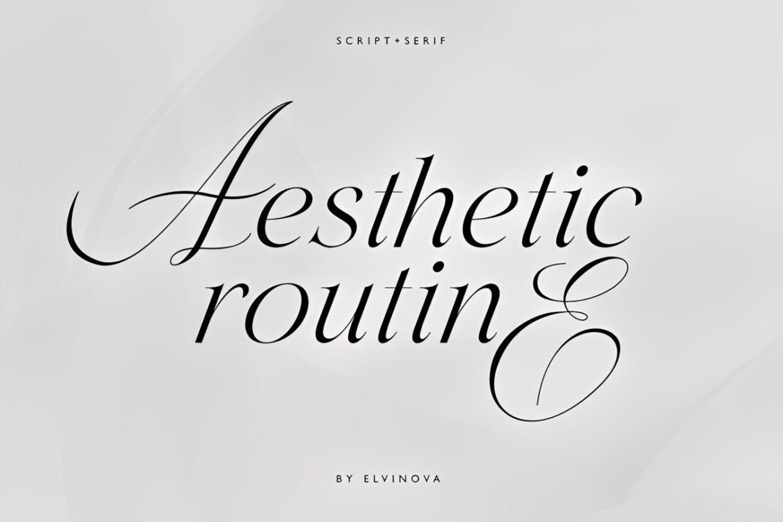 Aesthetic Routine Elegant Script + Serif Font – Modern Calligraphy ...