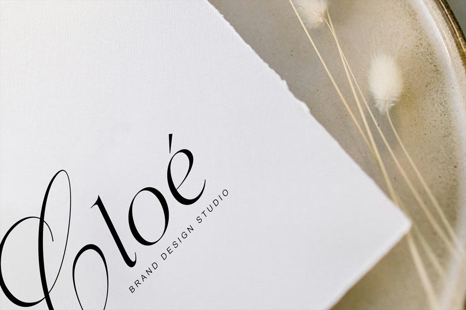 Aesthetic Routine Elegant Script + Serif Font – Modern Calligraphy ...