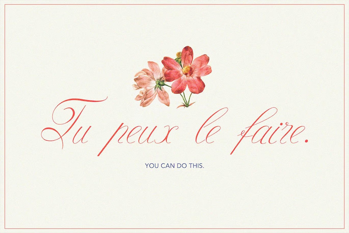 Aesthetic Routine Elegant Script + Serif Font – Modern Calligraphy ...