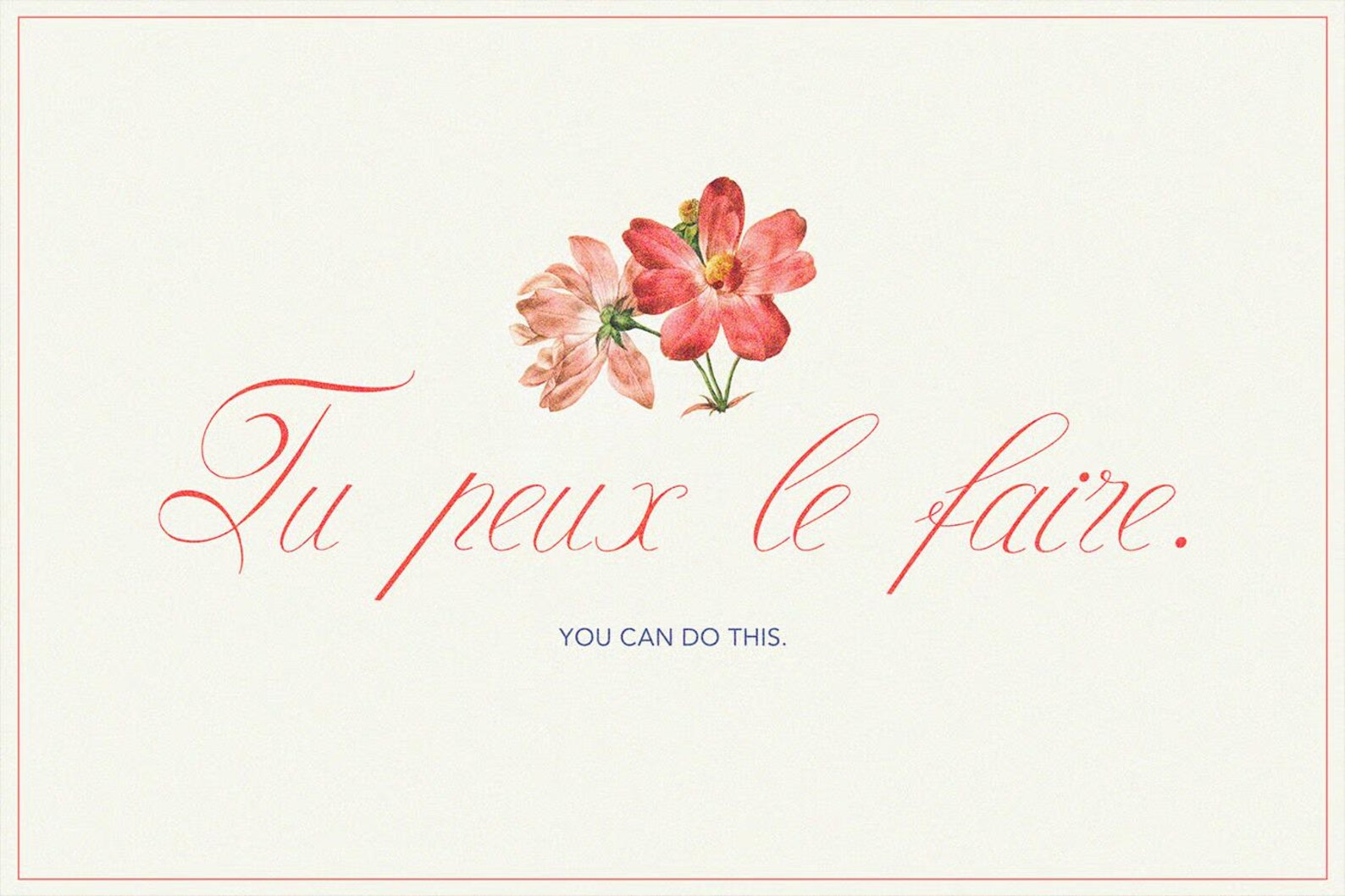 Aesthetic Routine Elegant Script + Serif Font – Modern Calligraphy ...