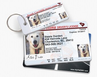 Dog license tag | Etsy