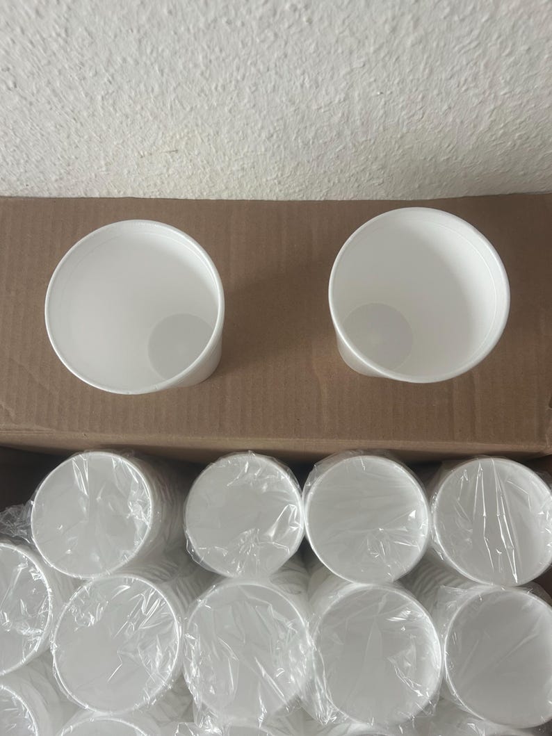 20x Double Cups 16OZ (474ml) Styrofoam Cup Lean Cup US Rapper Cups ...