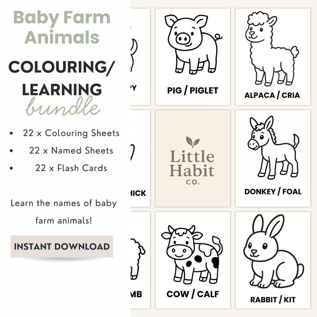 66 X Farm Animals Learning Pack | Toddler Colouring Pages & Flashcards ...