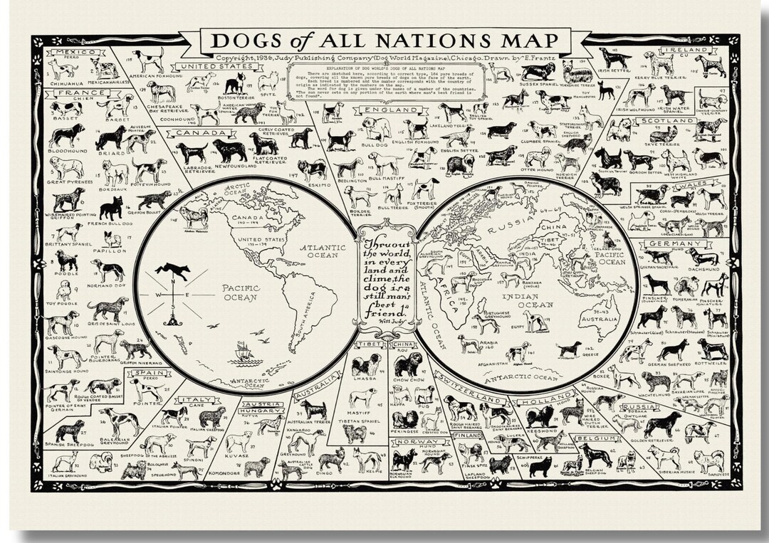Vintage 1936 Dogs of All Nations Map - Dog Breeds World Art Print ...