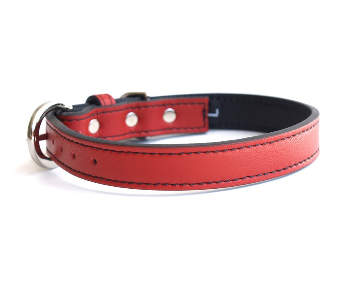 Minimalist Renegade Red Leather Dog Collar - Etsy