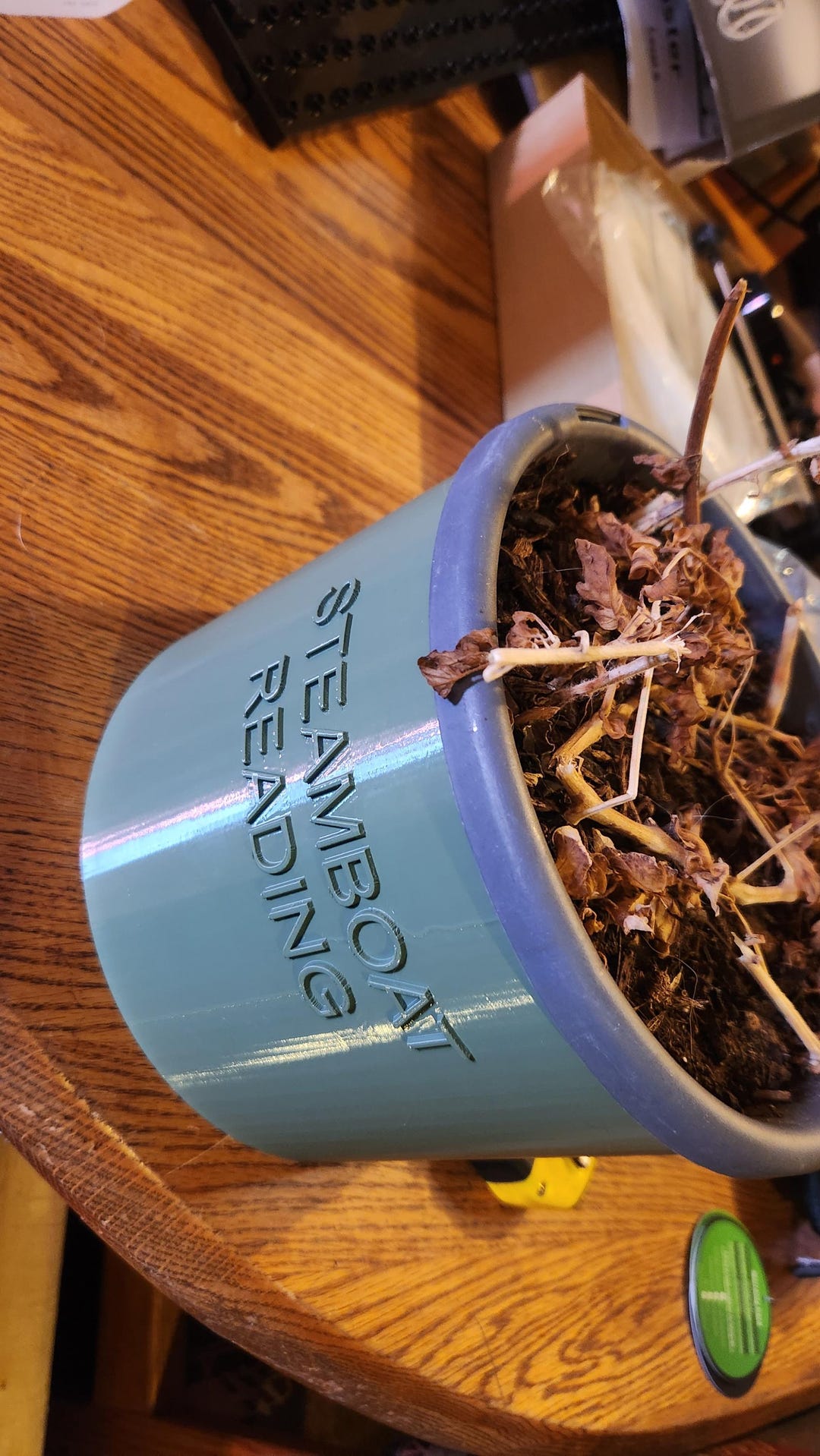 Planter Pot [wrap] | Reuse Dull Pots With Something Custom | Multi ...