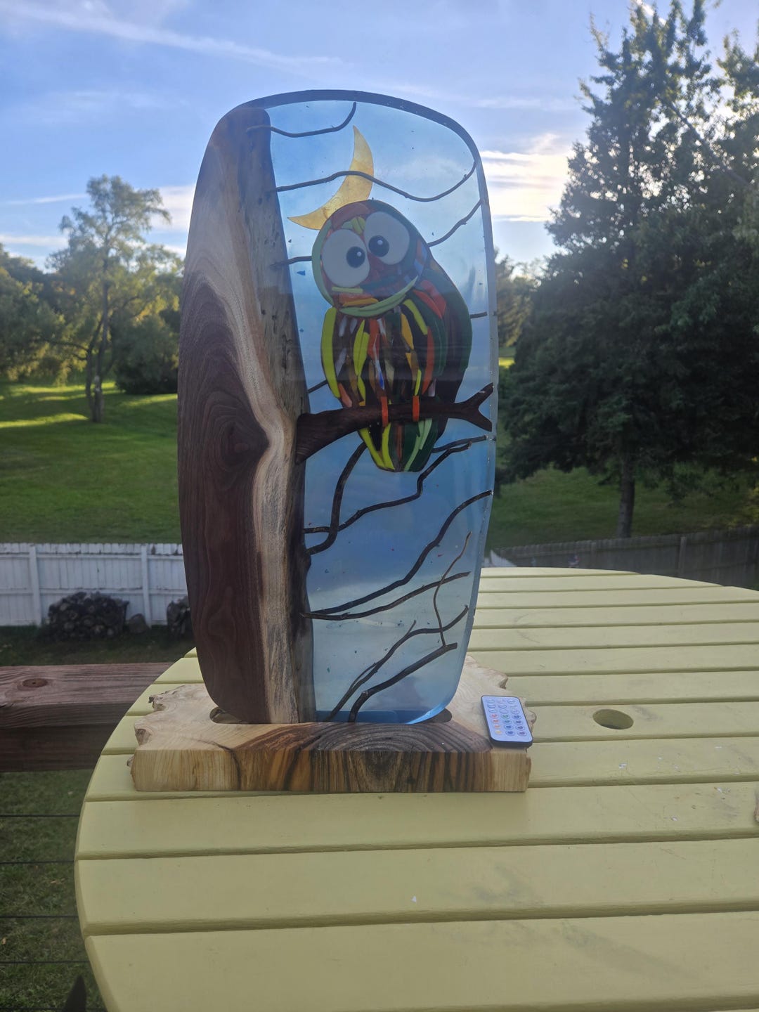 Live Edge Walnut Barred Owl Resin Lamp, Fused Glass Inlay - Etsy
