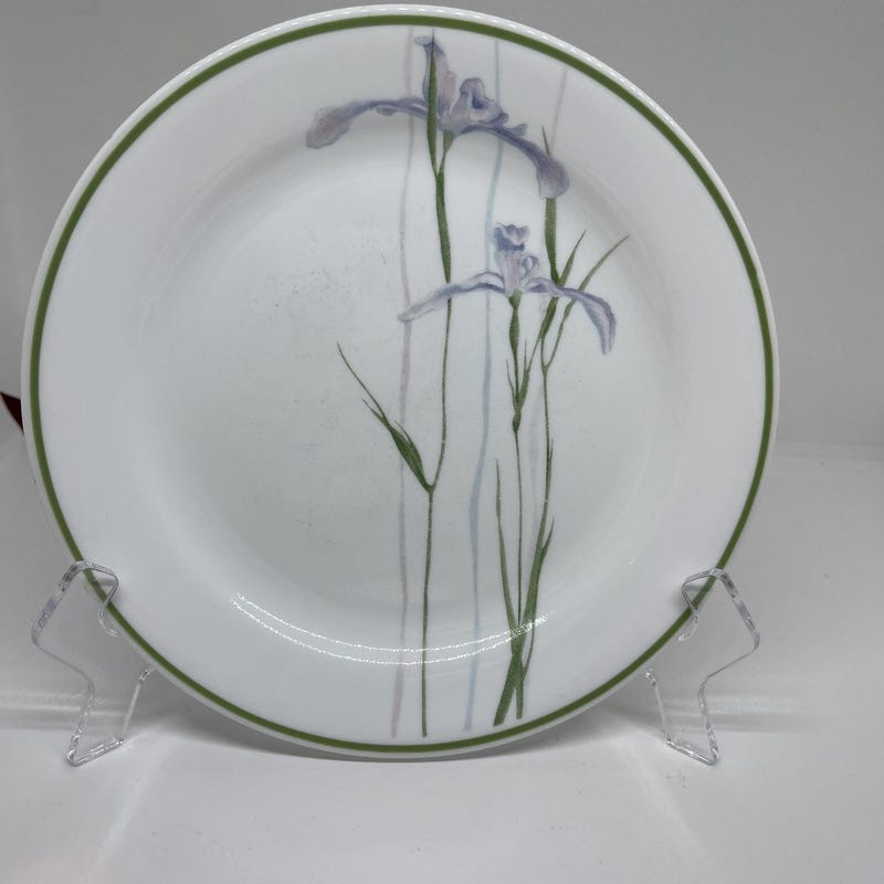 Vintage Shadow Iris Corelle - Etsy