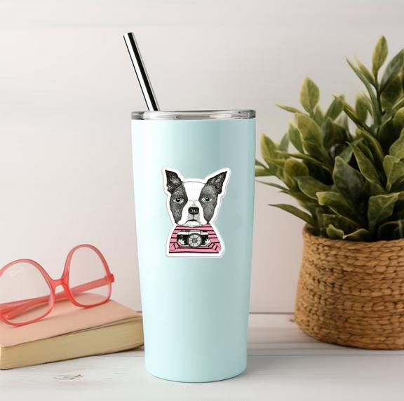 Shelly Sticker! - Etsy