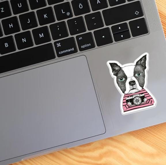 Shelly Sticker! - Etsy