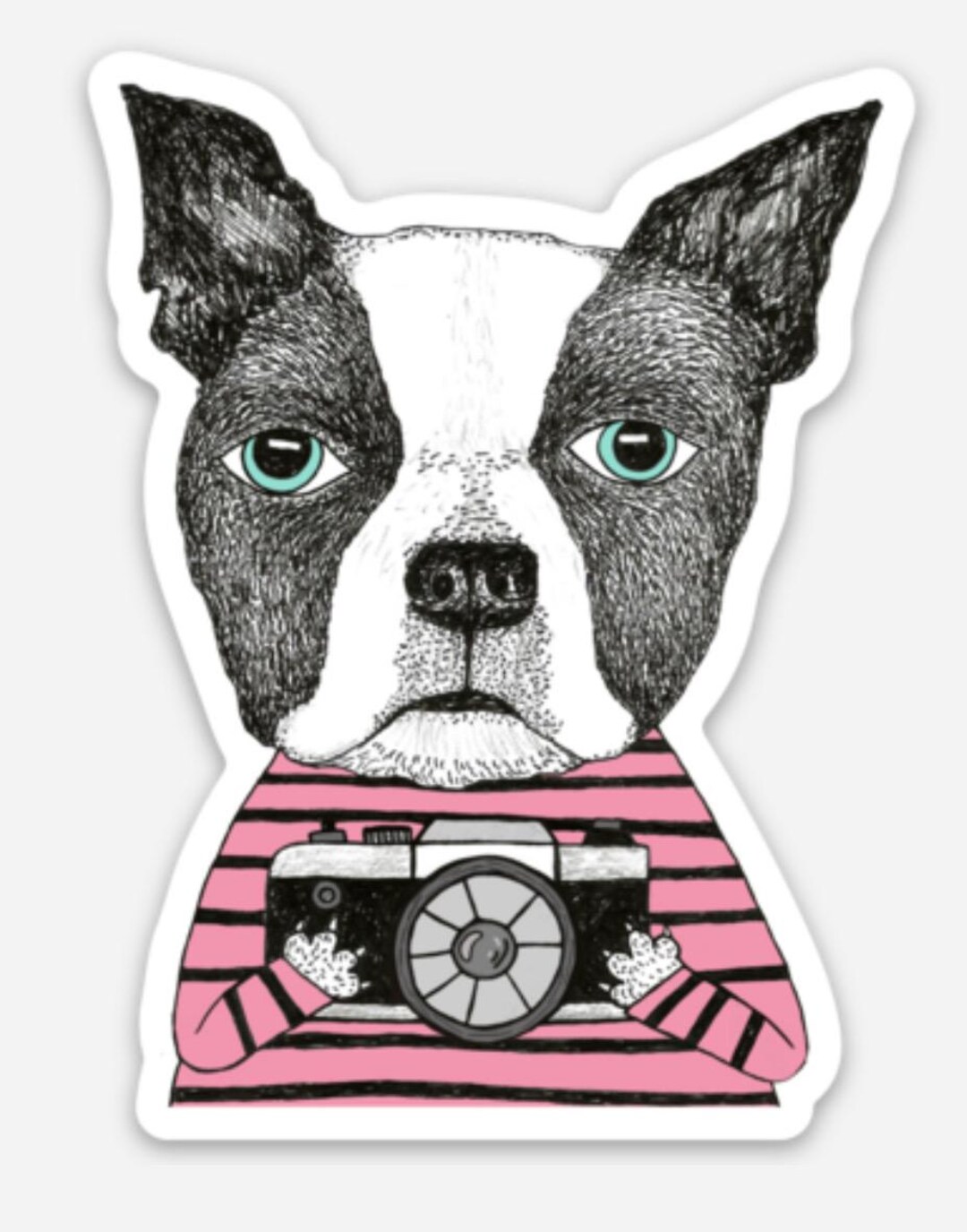 Shelly Sticker! - Etsy