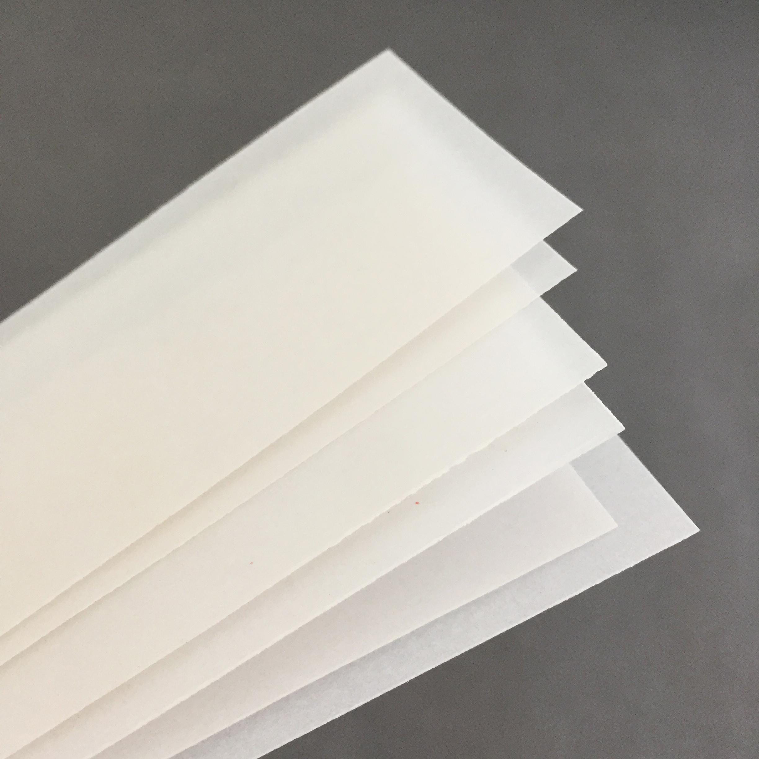 Vellum Belly Band, Belly Band Wedding Invitation, Custom Vellum Belly ...