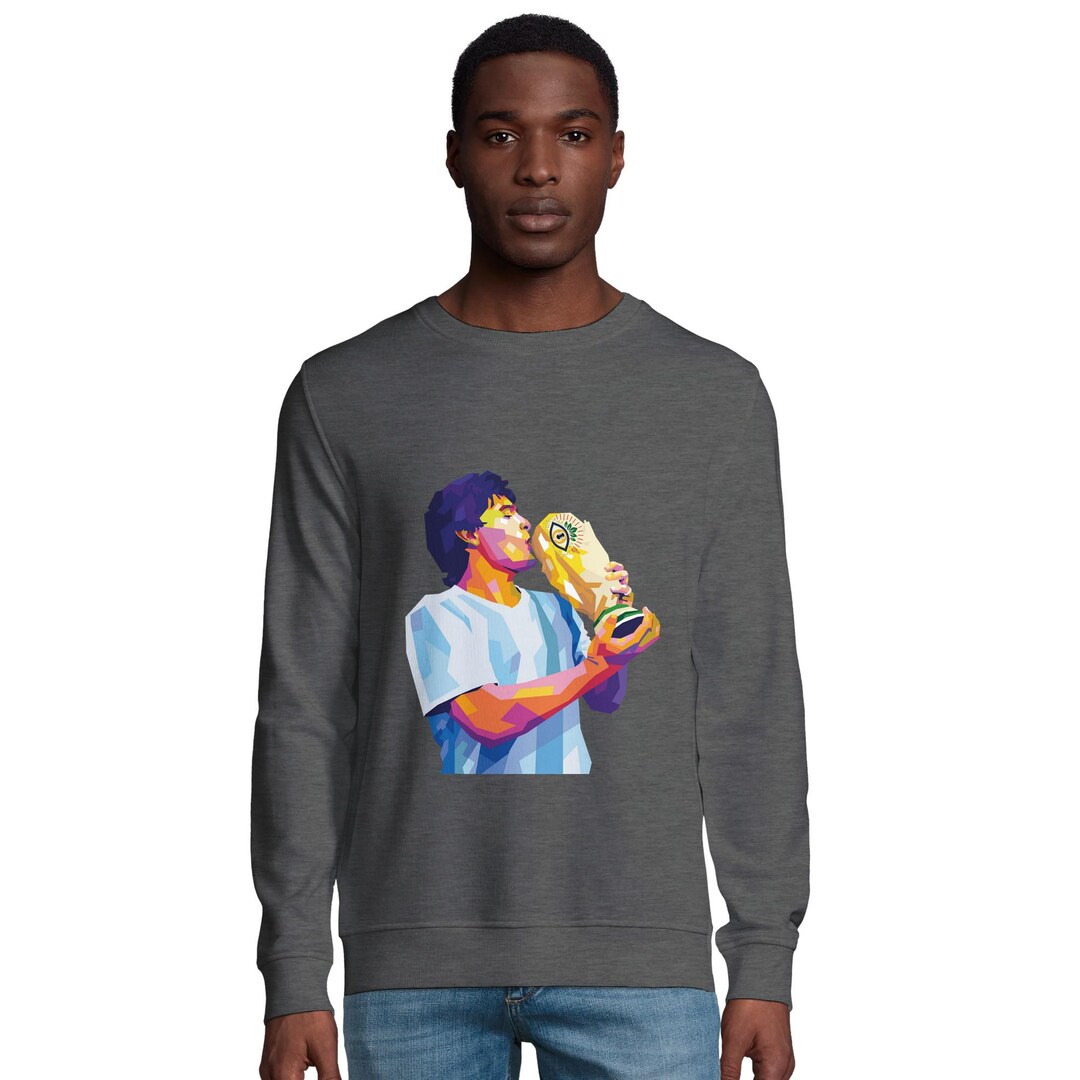 World Cup Victory Jumper | Football Champion Sweatshirt | Iconic Sports ...