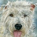 Welsh Terrier, AKC Terrier, Pet Portrait Dog Art, Giclee Watercolor ...