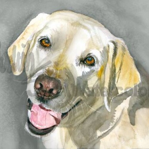 Splashing Fox Red Lab Dog Wall Art Print Yellow Labrador Dog - Etsy