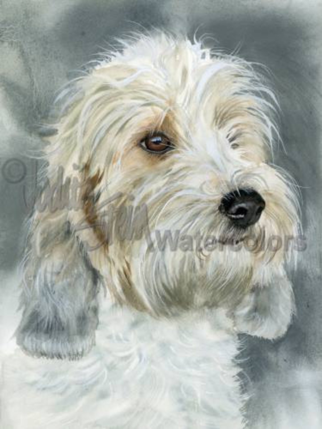 Petit Basset Griffon Vendeen PBGV AKC Hound Pet Portrait - Etsy