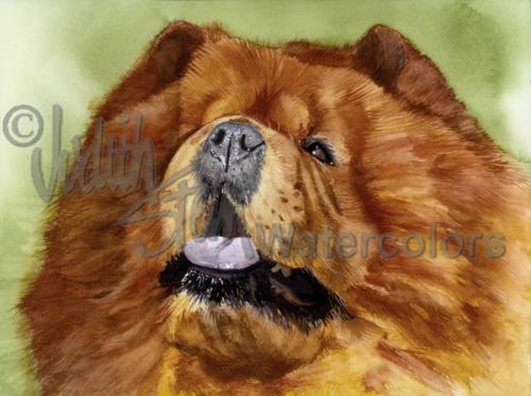 Chow Chow, Chinese, AKC Non Sporting, Pet Portrait Dog Art Watercolor ...