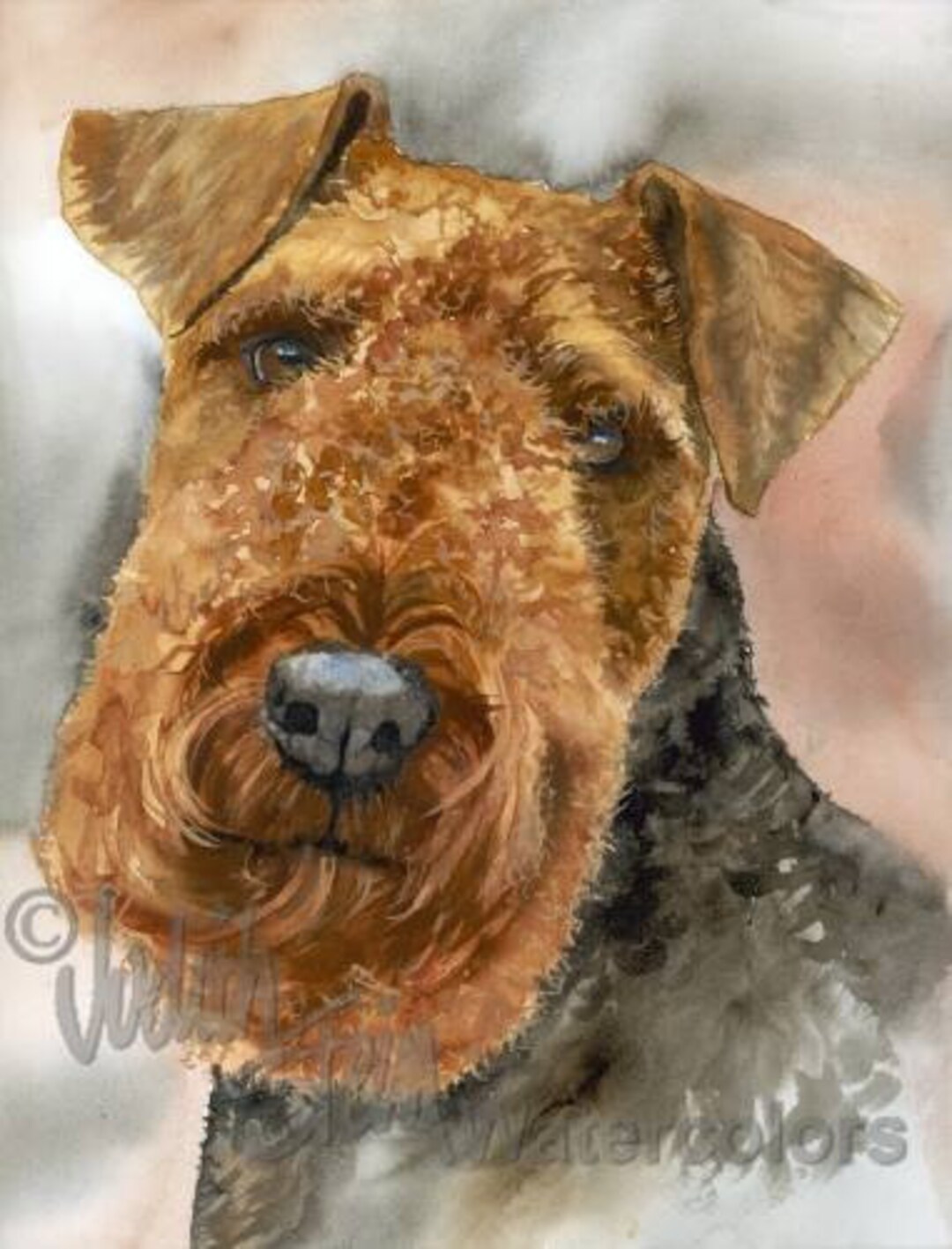 Welsh Terrier, AKC Terrier, Pet Portrait Dog Art, Giclee Watercolor ...