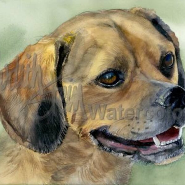 Puggle - Etsy