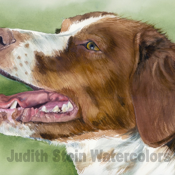 Brittany Spaniel Wall Art - Etsy