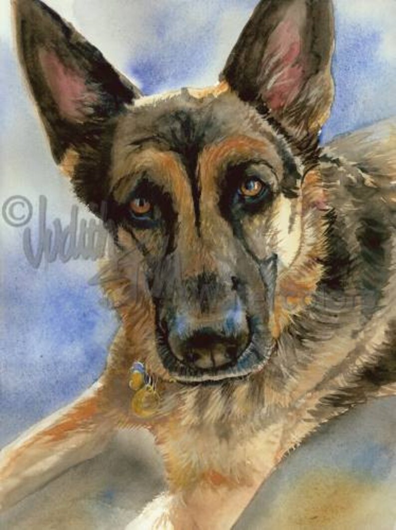 German Shepherd Dog GSD Guide Dog AKC Herding Pet Portrait - Etsy
