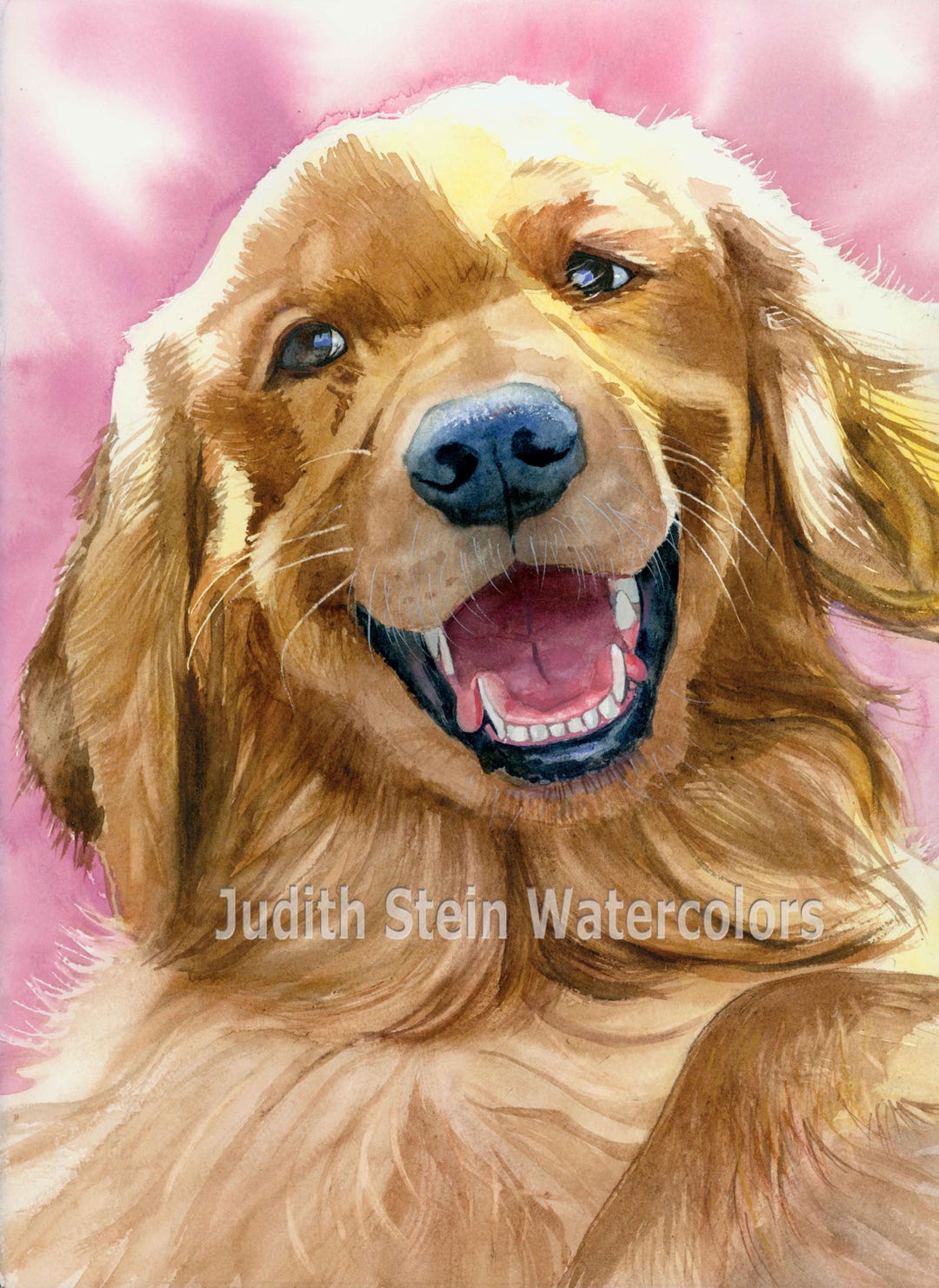 Golden Retriever, AKC Sporting Gun Dog, Service Dog, Pet Portrait Dog ...