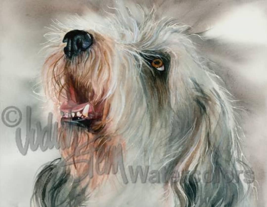 Petit Basset Griffon Vendeen, PBGV, AKC Hound, Pet Portrait Dog Art ...