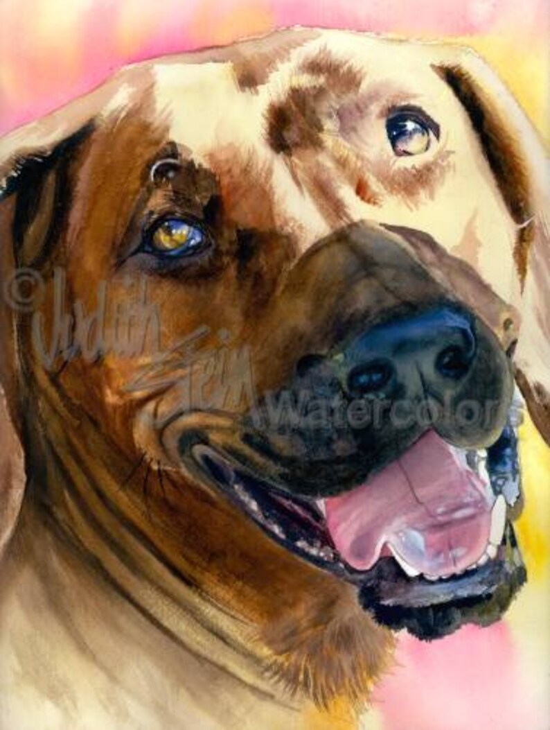 Rhodesian Ridgeback AKC Hound Pet Portrait Dog Art - Etsy