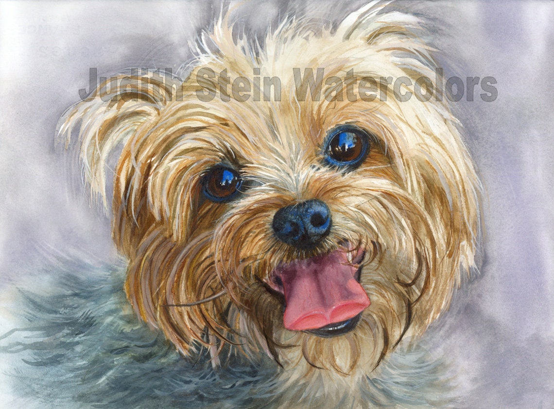Yorkshire Terrier Yorkie AKC Toy Pet Portrait Dog Art - Etsy