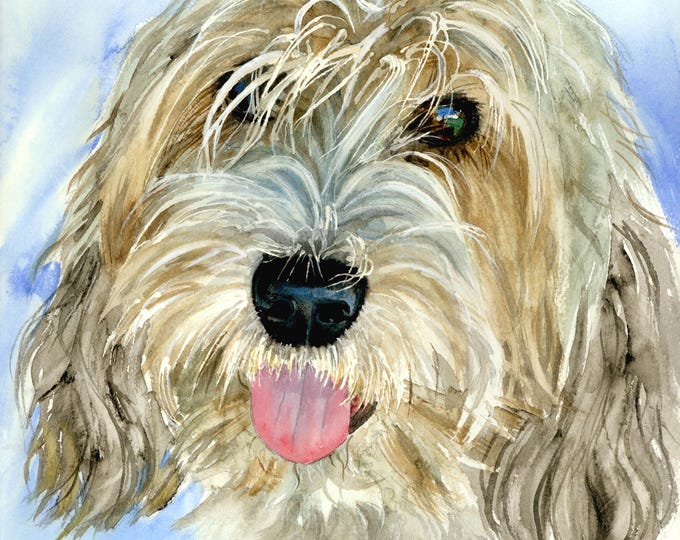 Petit Basset Griffon Vendeen, PBGV, AKC Hound, Pet Portrait Dog Art ...