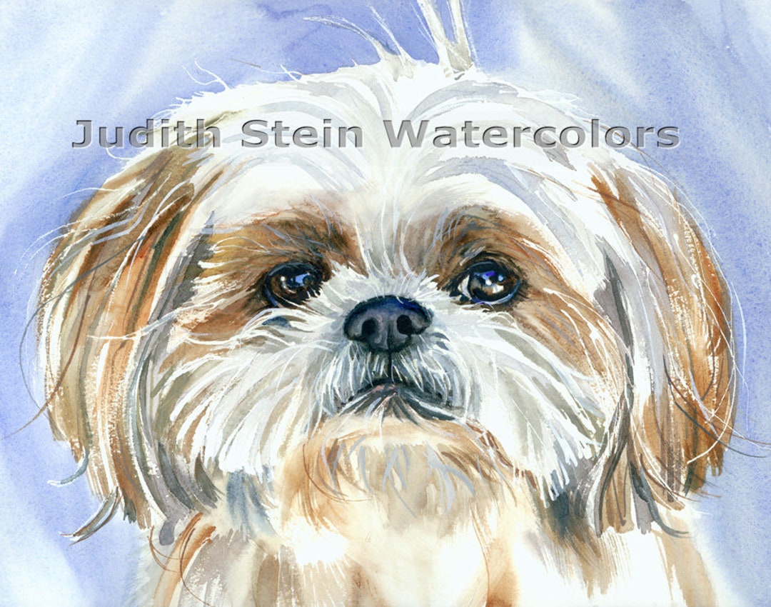 Shih Tzu, Tri Color, AKC Toy, Pet Portrait Dog Art Watercolor Painting ...