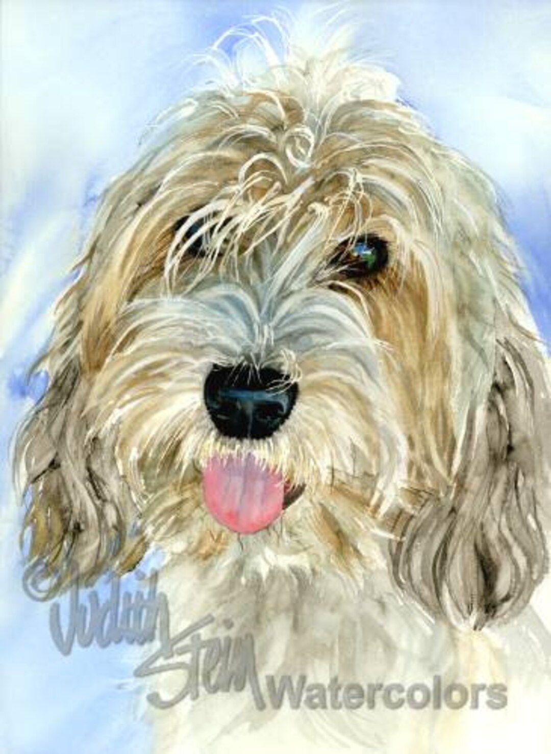 Petit Basset Griffon Vendeen, PBGV, AKC Hound, Pet Portrait Dog Art ...
