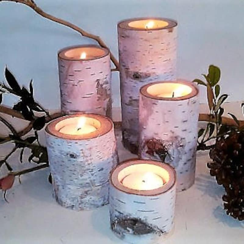 Birch Branches - Etsy