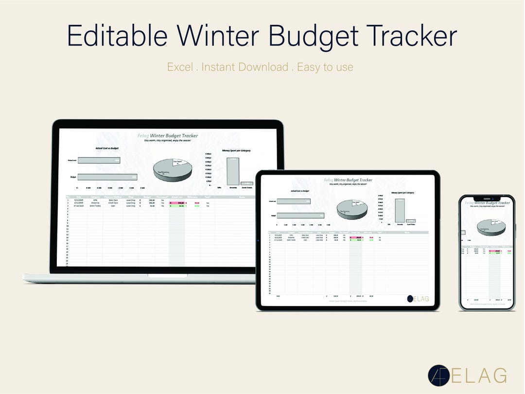 Excel Budget Template | Winter Expense Tracker Spreadsheet | Monthly ...