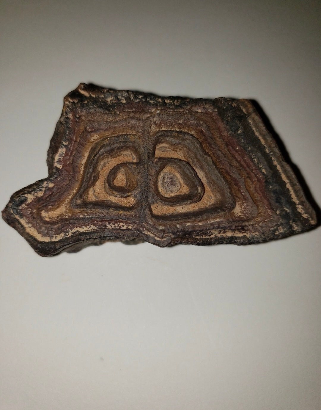 Extremely Rare Earth Bone Goethite Found in the Sahara Desert - Etsy