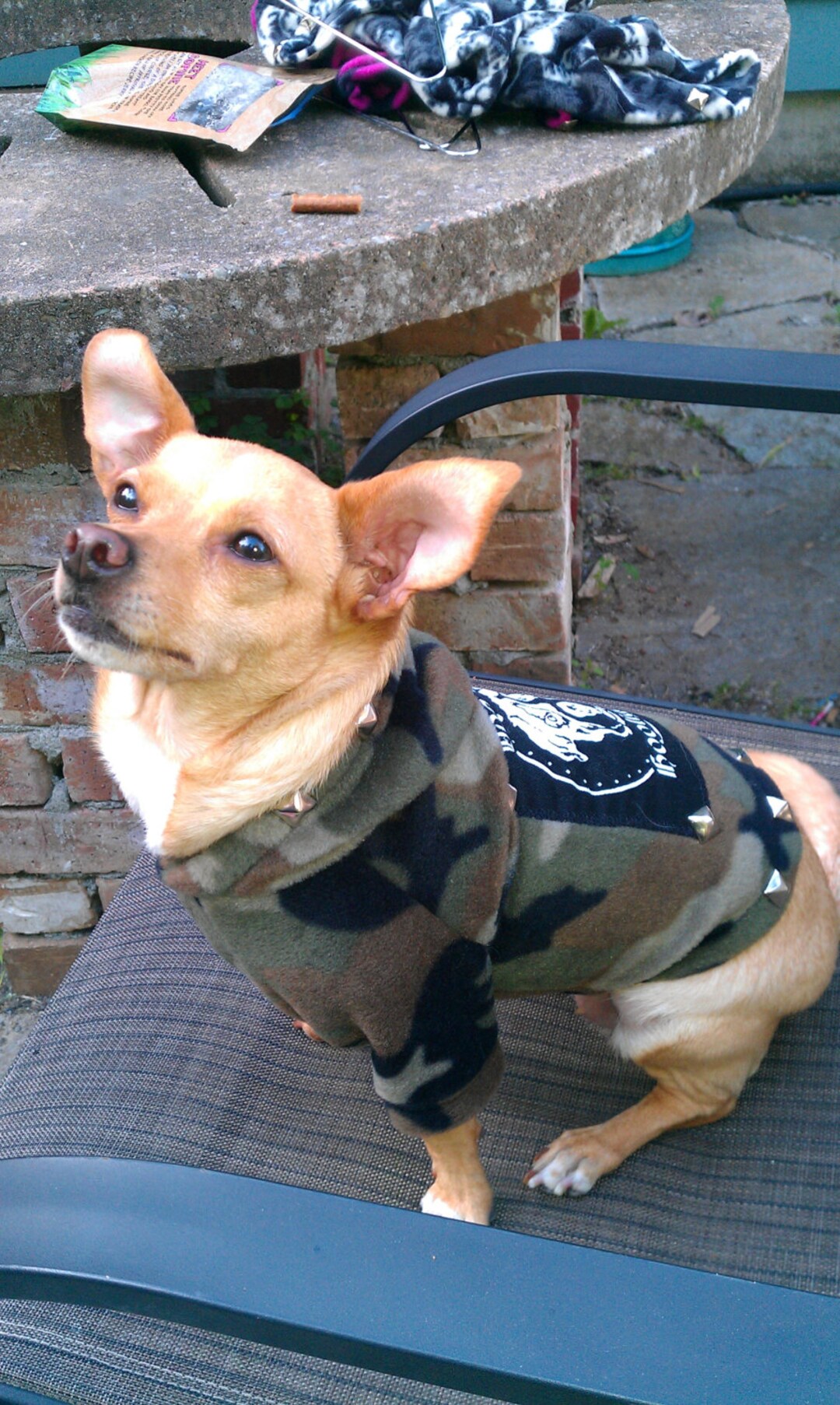 Punk Rock Dog Park Hooligans Camouflage Fleece Dog Hoodie. - Etsy
