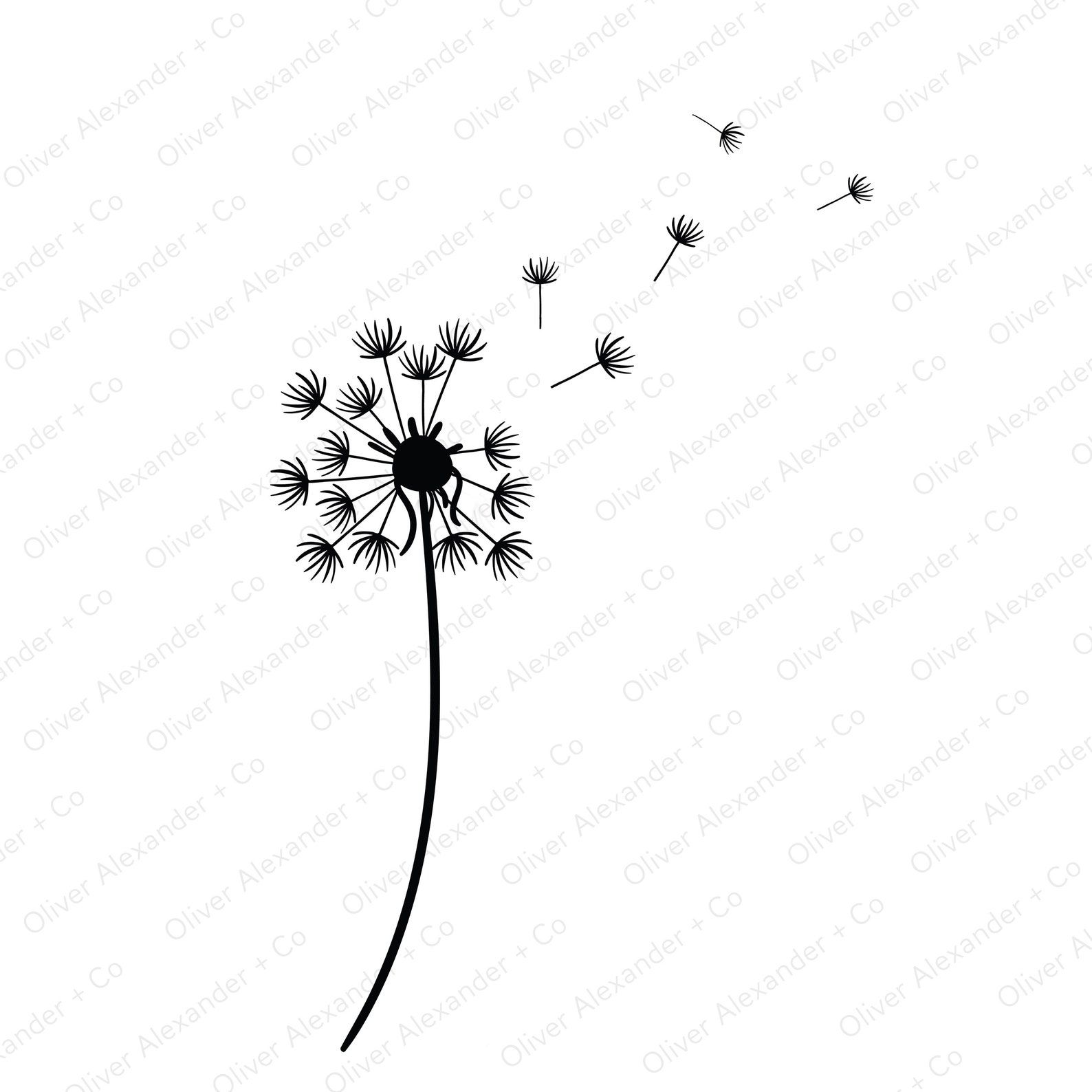 Pusteblume SVG + PNG + JPEG, Wildflower Svg, Blumen Svg, Floral Digital ...