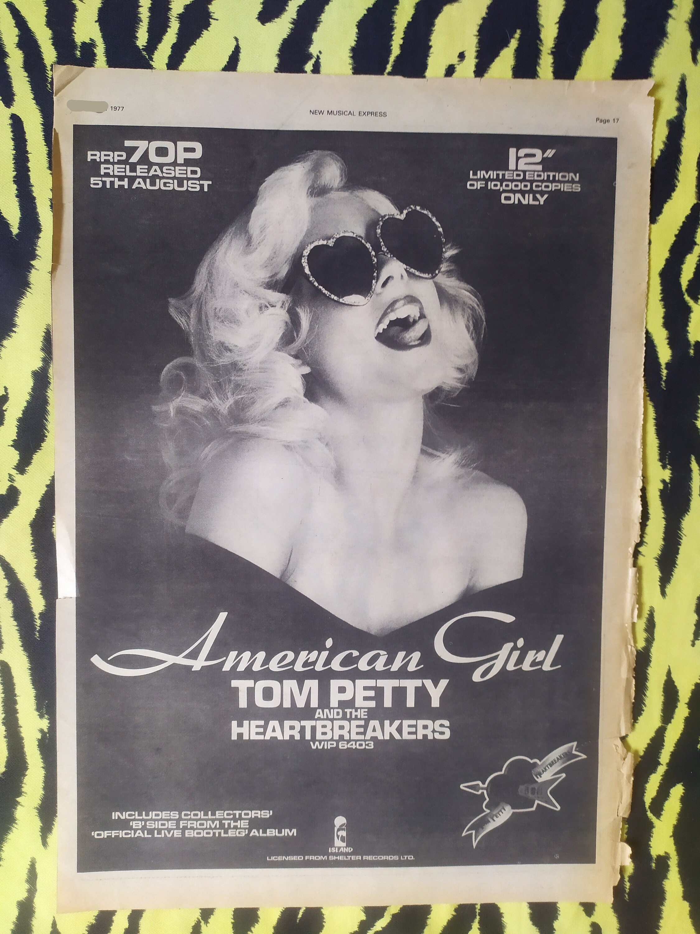 Original 1977 Tom Petty and the Heartbreakers Advert/poster, Rare ...