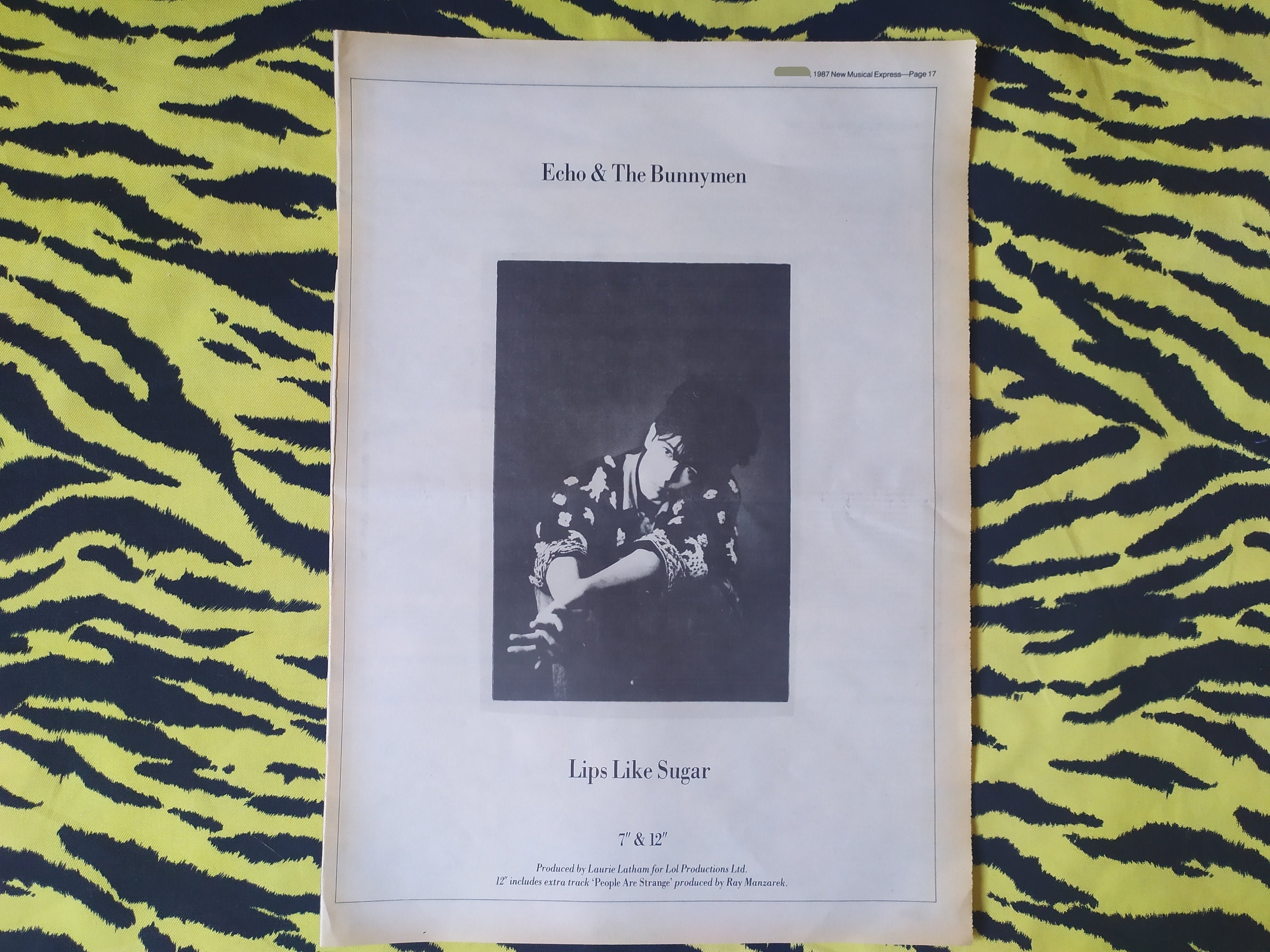 Lips Like Sugar Echo And The Bunnymen