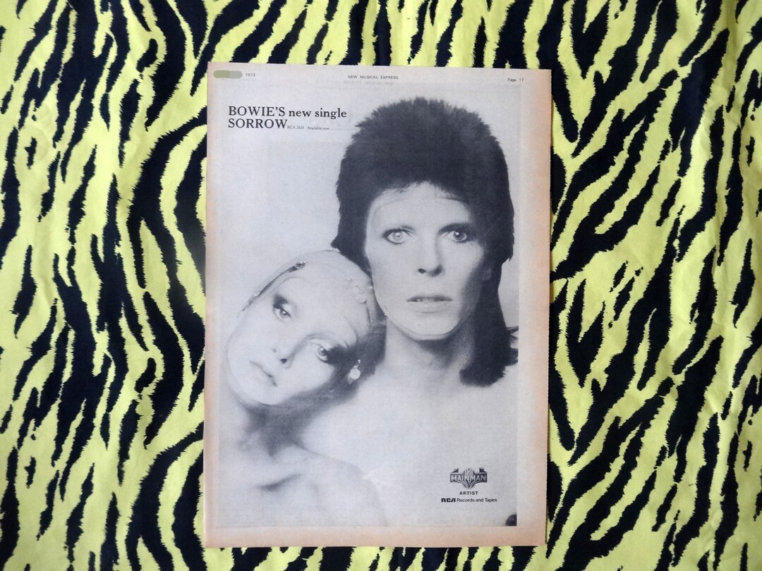 Original 1973 David Bowie Advert/poster, Rare Vintage Poster, David ...