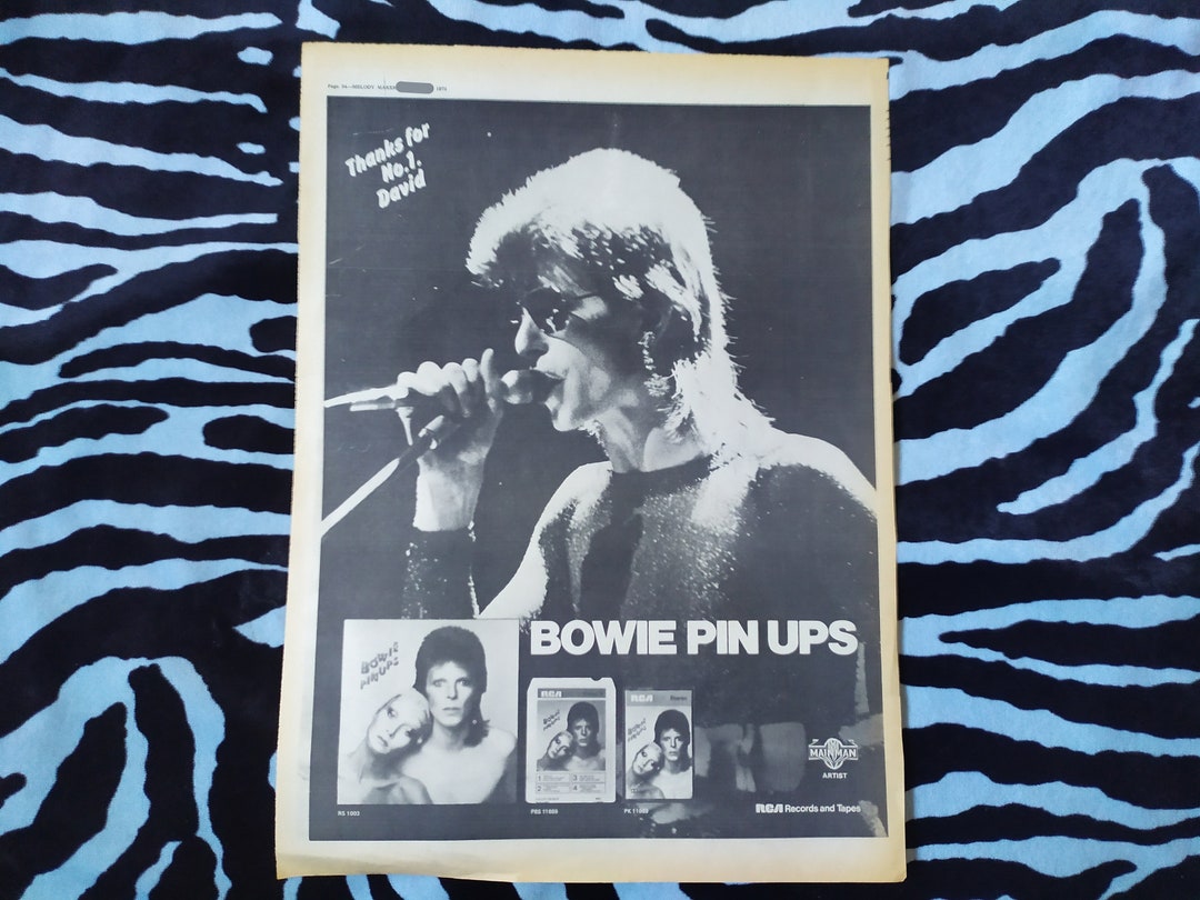 Original 1973 David Bowie Tour Advert/poster, Rare Vintage Poster ...