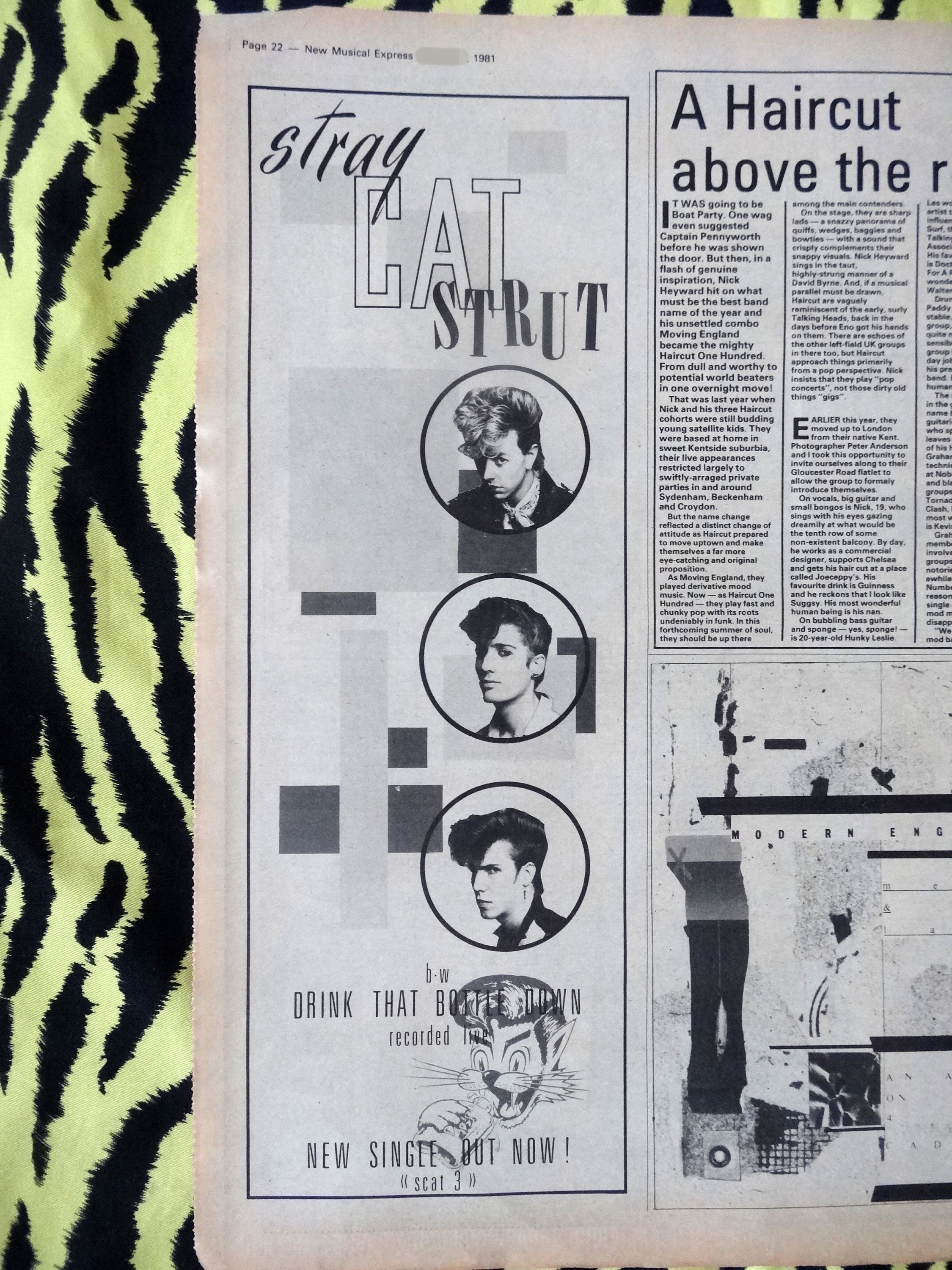 Original 1981 Stray Cats Advert/poster, Rare Vintage Poster "stray Cat ...