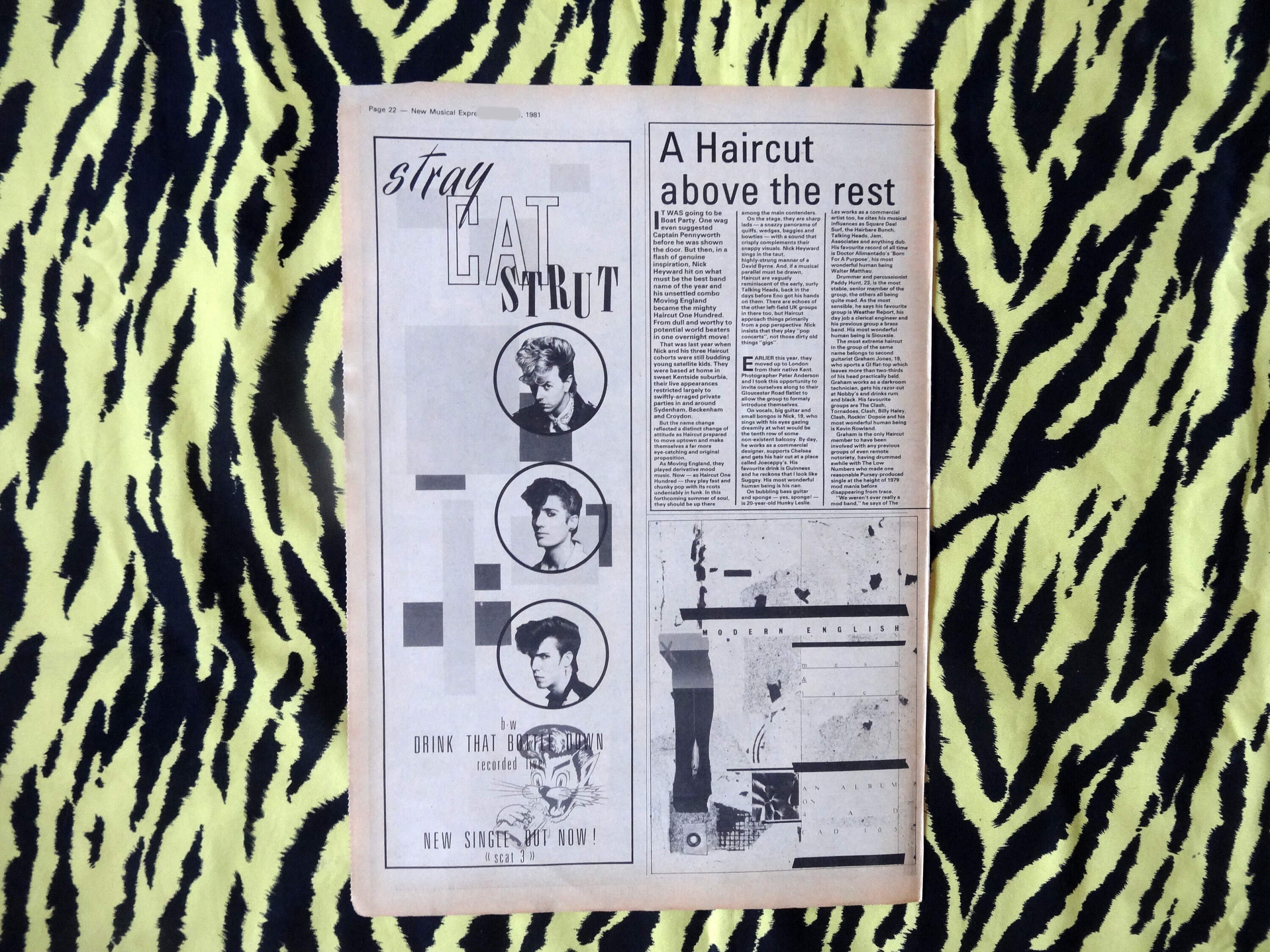 Original 1981 Stray Cats Advert/poster, Rare Vintage Poster "stray Cat ...