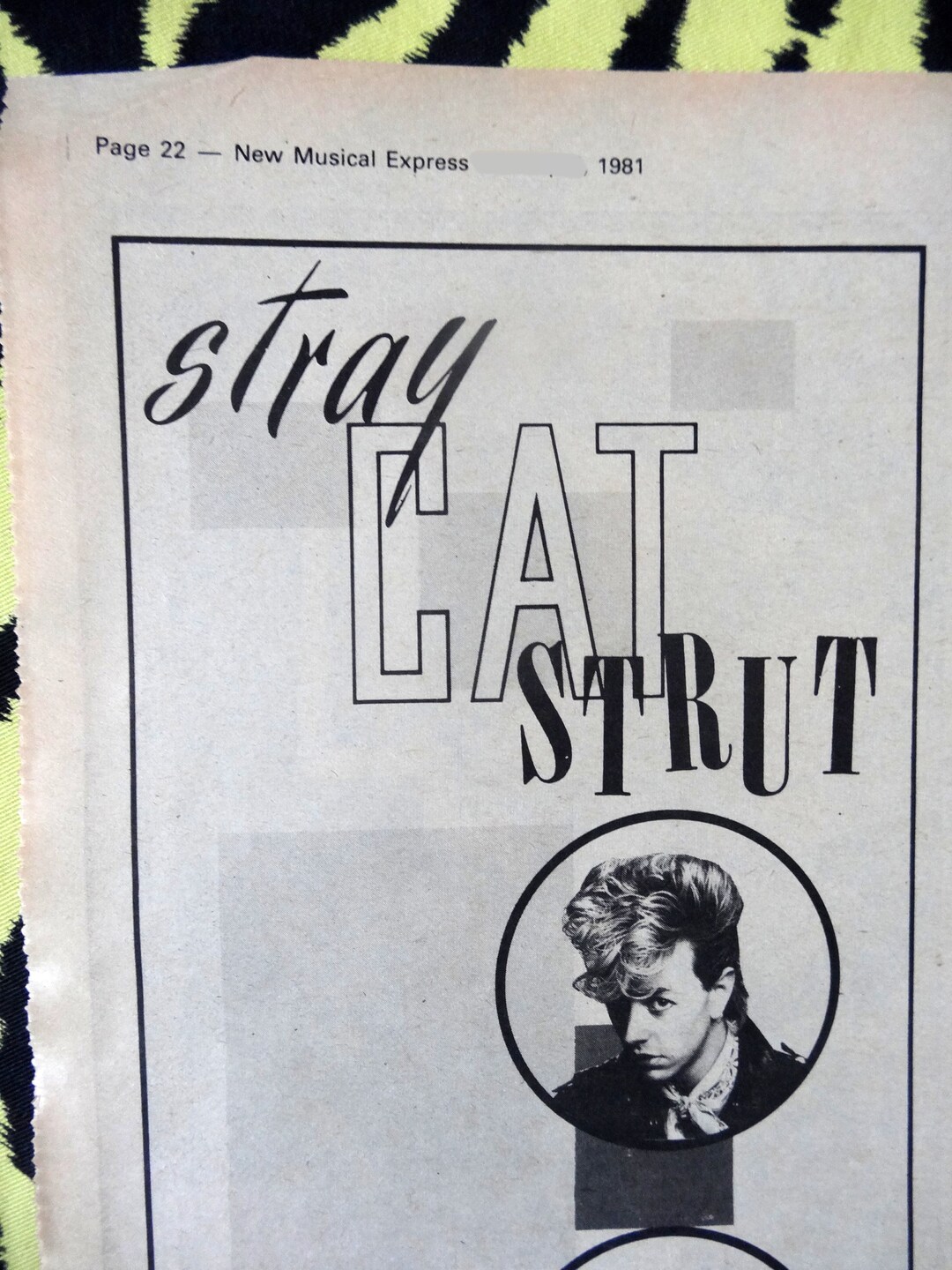 Original 1981 Stray Cats Advert/poster, Rare Vintage Poster "stray Cat ...