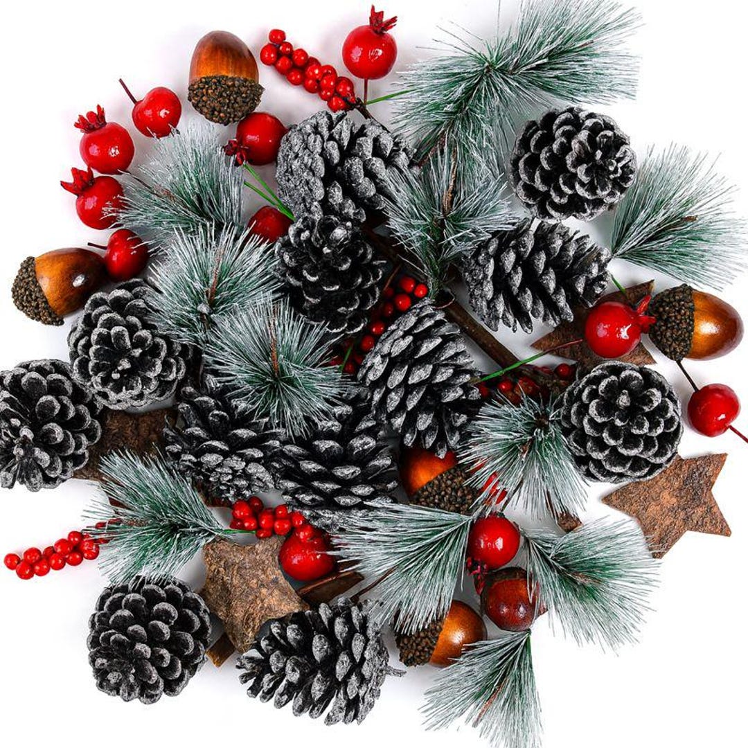 66pcs Pine Cone Decoration Set, Artificial Pinecones With Branches ...
